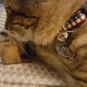 Cat ID tag with Cat Name Tag ID Tag for Cats Stainless | Etsy