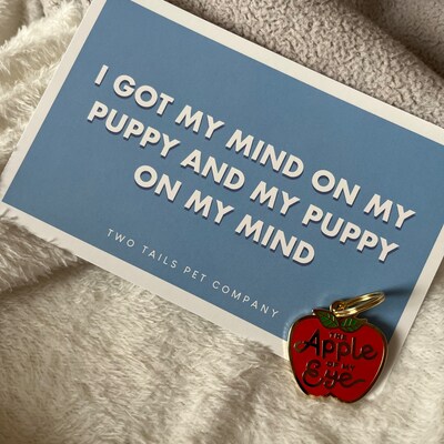 Pet Id Tag Dog Id Tag Dog Tag for Dogs Personalized Tags Dog Id Tag ...