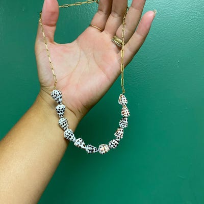 Strawberry Top Seashells clanculus Puniceus Craft Shells 1/23/4 5 ...