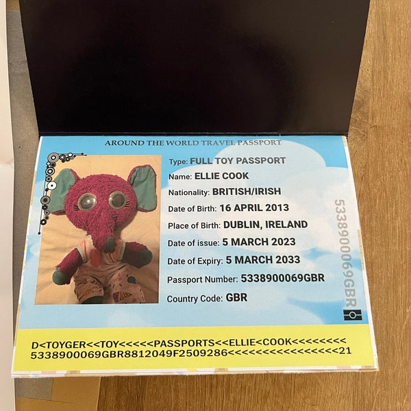 Toy Passport - Personalised Toy Passport With Photo and Birth Details ...