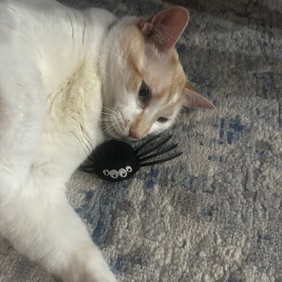 Teaser Wand Spider Cat Toy, Scary Spider Cat Toy, Dangling Teaser Wand ...