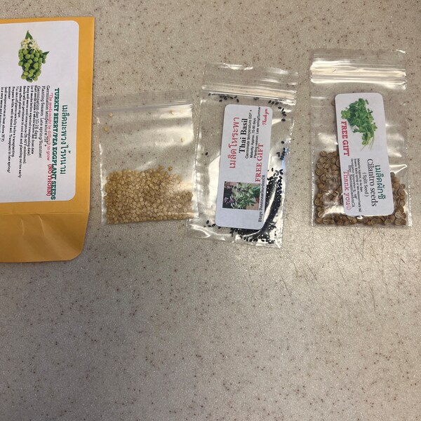 300-350seeds.kangkong,water Convolvulus,river Spinach,chinese Spinach ...