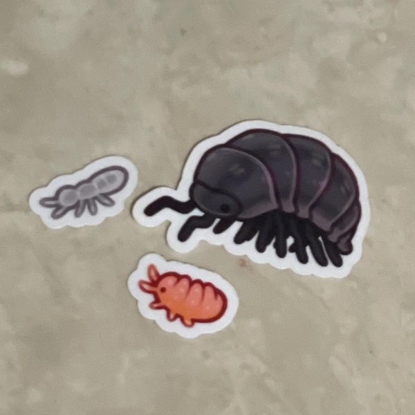 Domestic Silk Moth Stickers! (venezuelan Poodle Moth) - Etsy