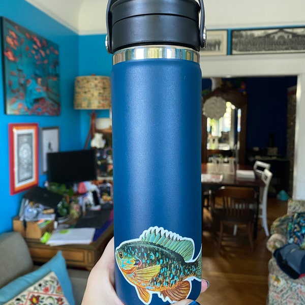 Pumpkinseed Fish Vinyl Decal | Waterproof | Sunfish Sticker | Panfish ...