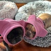 Frenchiestore Organic Dog Frenchie Ear Warmers | Pink - Etsy