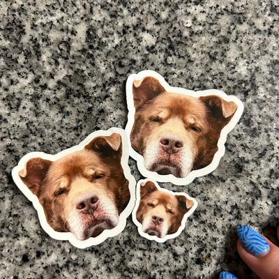 Custom Pet Sticker Animal Sticker Personal Sticker Photo - Etsy