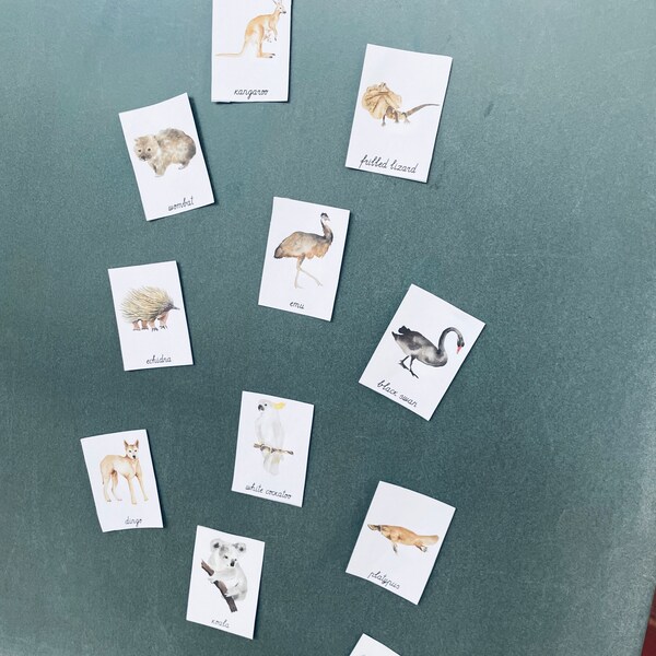 ANTARCTICA Continent Card Material Montessori Nomenclature Flash 3 ...