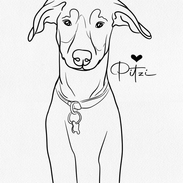 Custom Line Drawing, Custom Pet Outline Drawing, Pet Sketch From Photo ...