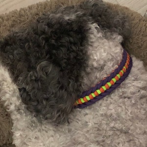 Jagged Ladder Knot Paracord Dog Collar | Etsy