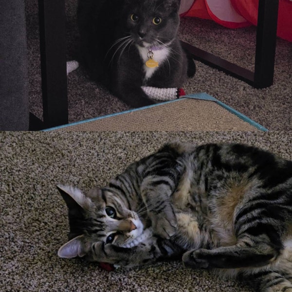 King of the Hill Svg Bundle, 9 Image Svg Bundle, Bobby Hill Svg, Hank ...