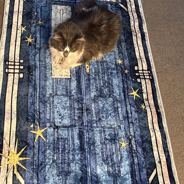 Doctor Who Rugs, Blue Rug, Art Decor Rug, Fantastic Rug, Area Rug, Rugs ...