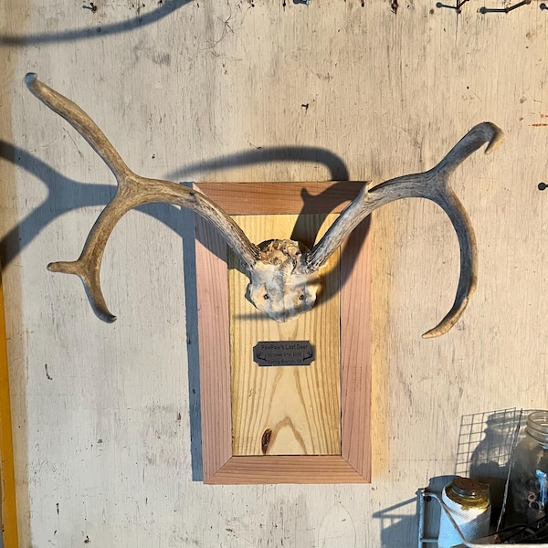 Custom Engraved 1.25x3-inch Brushed Gold Silver or Copper 1st Buck Doe ...
