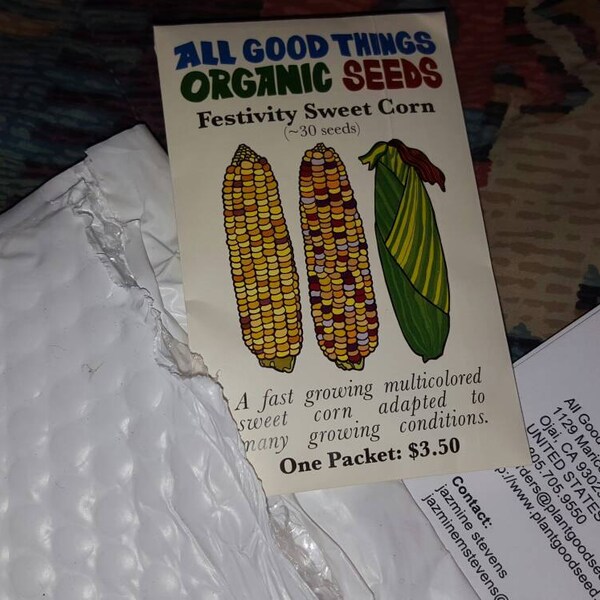Festivity Sweet Corn Seeds (~30): Certified Organic, Non-gmo, Open ...