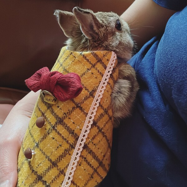 Autumn Ginkgo Wool Short Dress, Pet Bunny Dress/harness, Rabbit ...