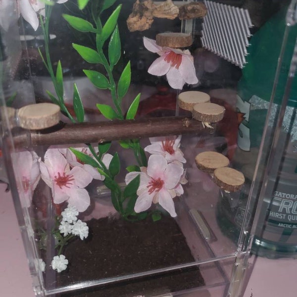 Chick Terrarium; Taxidermy Gift, Animal Art, Goth Gift, Goth Decor ...