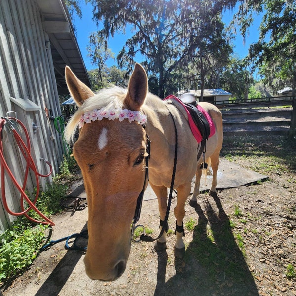 Rope Neckrope Camo - Custom Made Tassel Cordeo - Handmade Equestrian ...