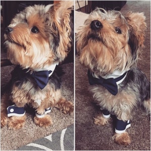 Dog Cuffs Custom Dog Tuxedo Cuffs for Wedding Dog Wedding - Etsy