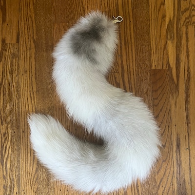 Massively Huge XXL Fox Tails - Etsy