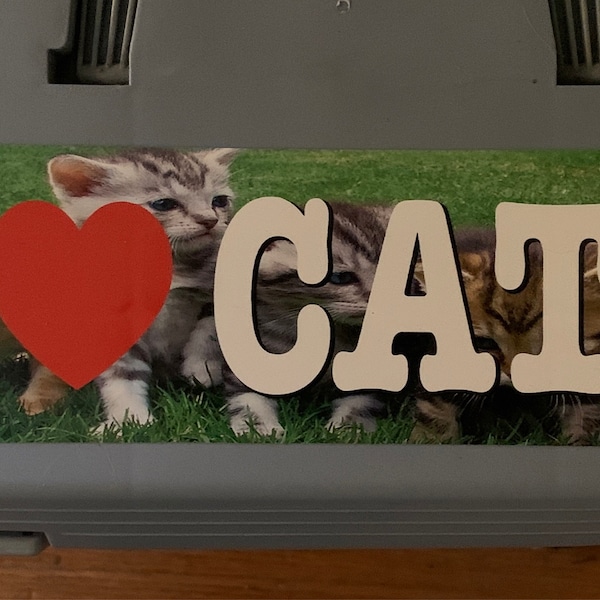 Bumpin' That Brat Bumper Sticker - Charli XCX, Brat, Bratmobile, Bumper ...