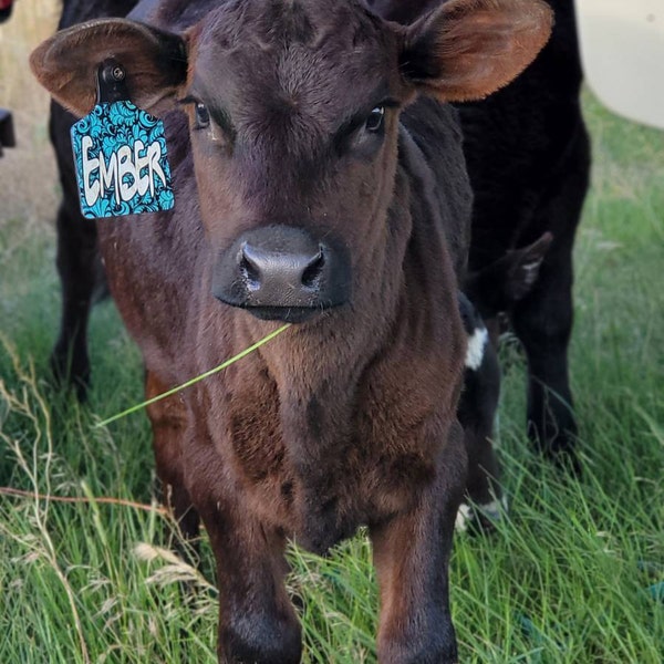 Custom Cattle Ear Tag - UV Printed Full Color Weatherproof ...