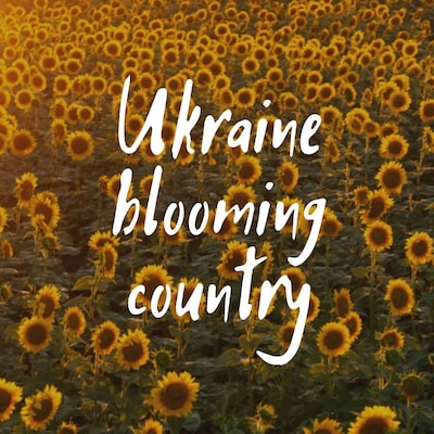 A Unique and Beautiful Paper Digital 3D Mockup, for Creating an ...