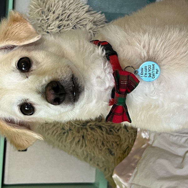 Christmas Plaid Dog Bow Tie / Dog Bow / Holiday Bow / Girl Dog / Boy ...