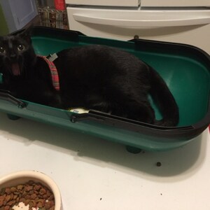 Hand Stamped Cat ID Tag-indoor Cat Tag-tag for Kitty-hand Stamped Cat ...