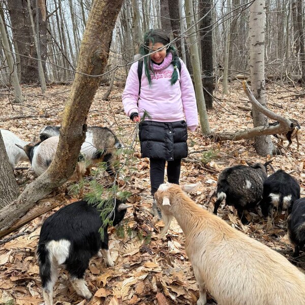 How Will Momtok Survive This Shirt, Meme Tshirt, Trend Sweatshirt, Cool ...