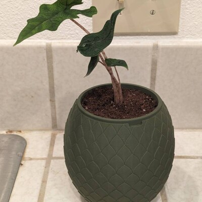 Boho Wavy Plant Pot 4, 5, 6, 7 Tall Clear Pot Perfect Fit Unique ...