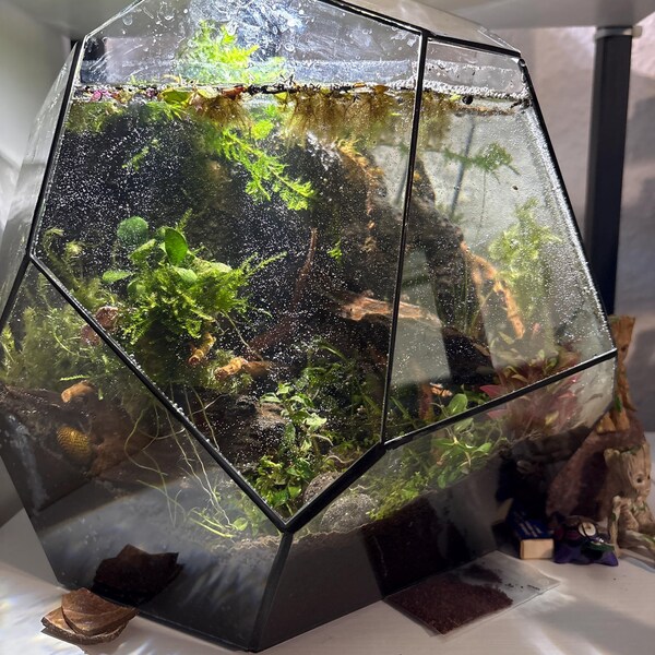 Waterproof 16.5 Inches 42 Cm Geometric Terrarium Phobos - Stunning ...