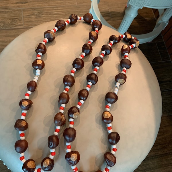 Buckeye Nuts 3/4 Lb 40 Large Size, Real Dried Buckeyes Harvested in ...