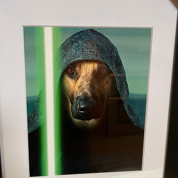 Custom Star Wars Pet Portrait, Luke Skywalker Dog Portrait, Star Wars ...