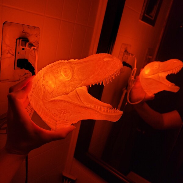 Tyrannosaurus Rex - Wall Hanging 3D Printed Accent Lamp, T-rex, Novelty ...