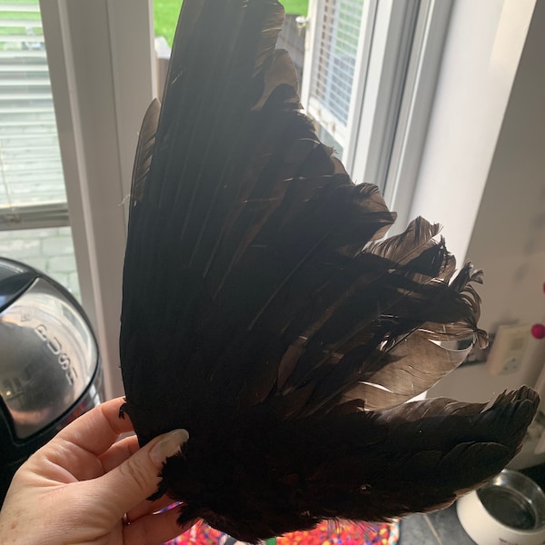Genuine Crow Wing Smudging Fan - Etsy UK