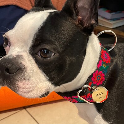 Stacked Dog Id / Dog Name Tag/ Puppy Tag / Custom Pet Tags / - Etsy