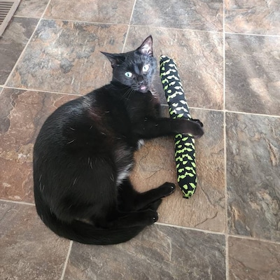 Sir Reginald Kick Stick Cat Toy Organic Catnip Kicker Toy - Etsy