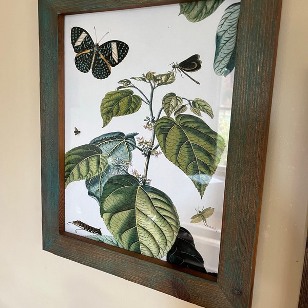 Nature Study Collage No. 23, Botanical Print Set, Art, Giclee, Prints ...