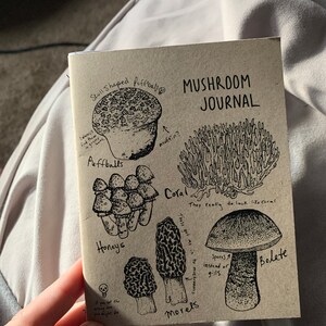 Mushroom Journal FORAGING Field Guide Notes for Edible Mushrooms Zine ...