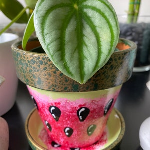 Hand Painted Terra Cotta Watermelon Pot and Matching Saucer - Etsy
