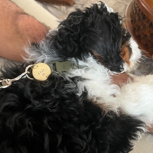 Simple Custom Hand Stamped Dog Tag, Dog Tags for Dogs, Pet Id Tag ...