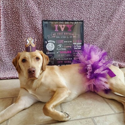 Dog Birthday Chalkboard Sign First Puppy Birthday Banner 1st - Etsy