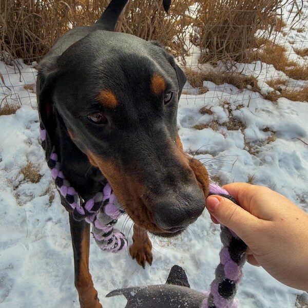 Custom Handmade Fleece and Minky Dog Leash - Etsy