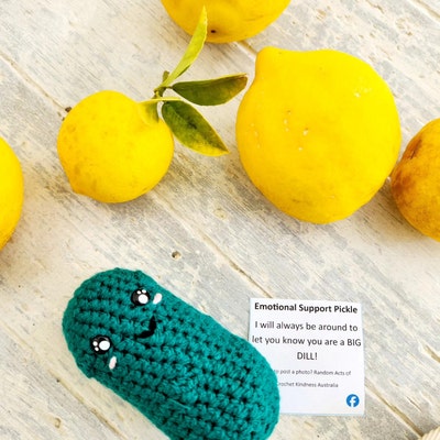PATTERN ONLY, Easy Pickle Crochet Pattern, Instant DOWNLOAD - Etsy