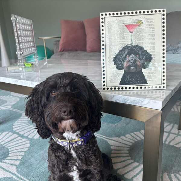 GSP Dog With Wine Glass Poster, German Shorthaired Pointer Wall Art ...