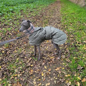 Italian Greyhound Quilted Waterproof Winter Coats,cirneco Dell'etna ...