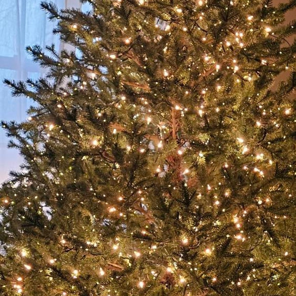 100 Count Light String / Strand / Set Brown Cord Clear Teeny Rice Light ...