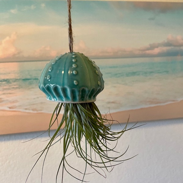 Small Jellyfish, Hanging Air Planter, Bring the Beach Home - Etsy