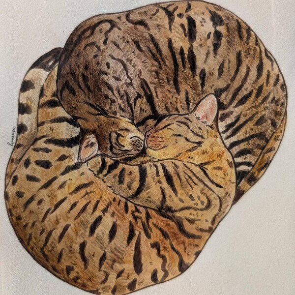 Fox Sticker – Waterproof Vinyl Sticker, Cute Red Fox Stationery, Laptop ...