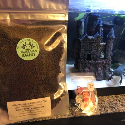 ABF Gourmet Axolotl Soft Food Pellets 4.0mm ABF5 Heat Sealed for ...