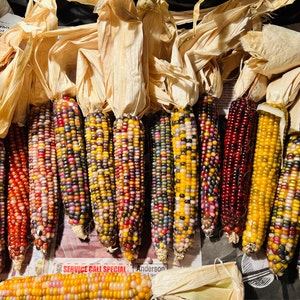 Mini Indian Corn Wreath KIT: Make Your Own Choose From a | Etsy